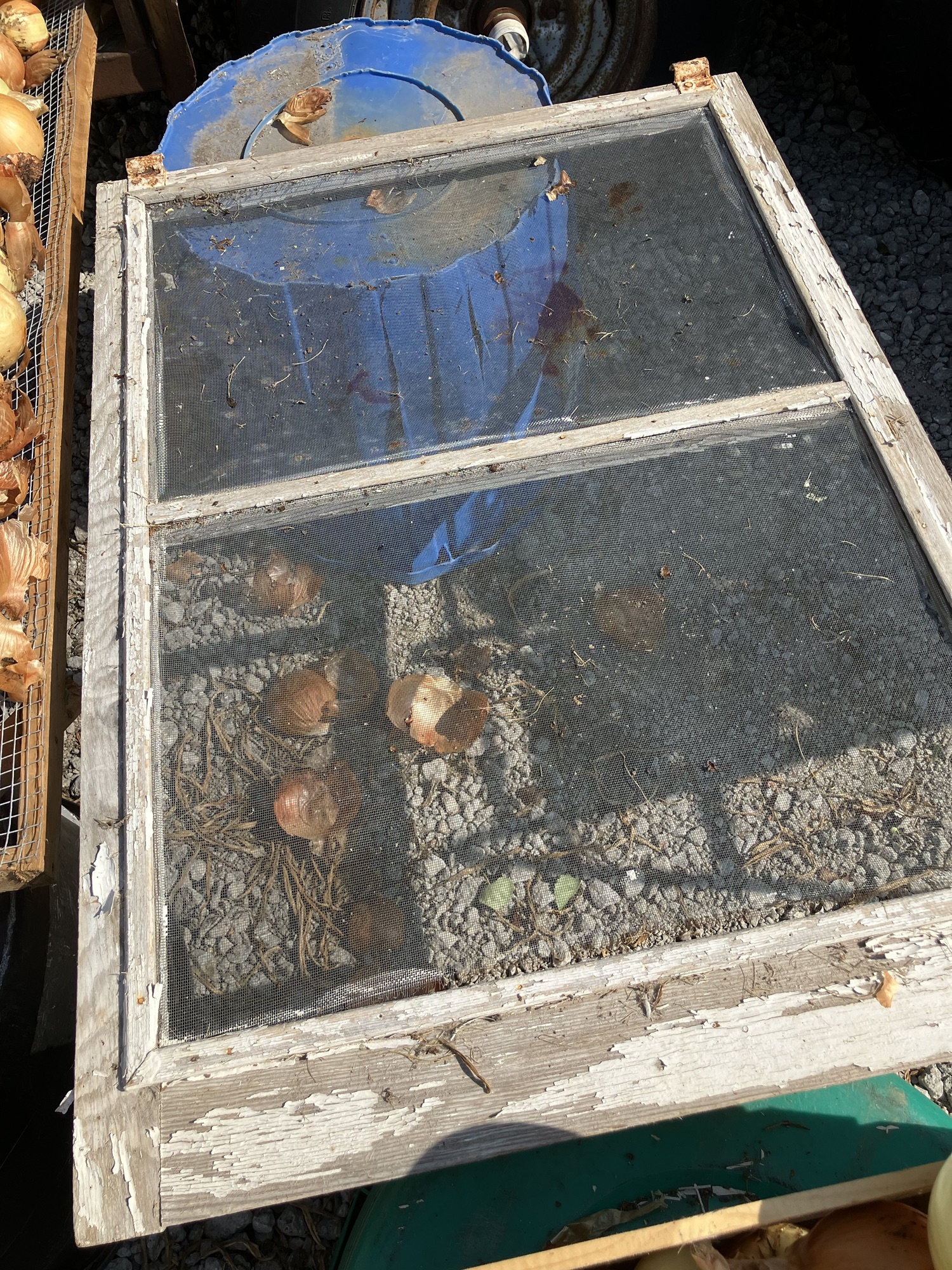 6 Tools to Make Harvest Low Stress – Cora's Cottage