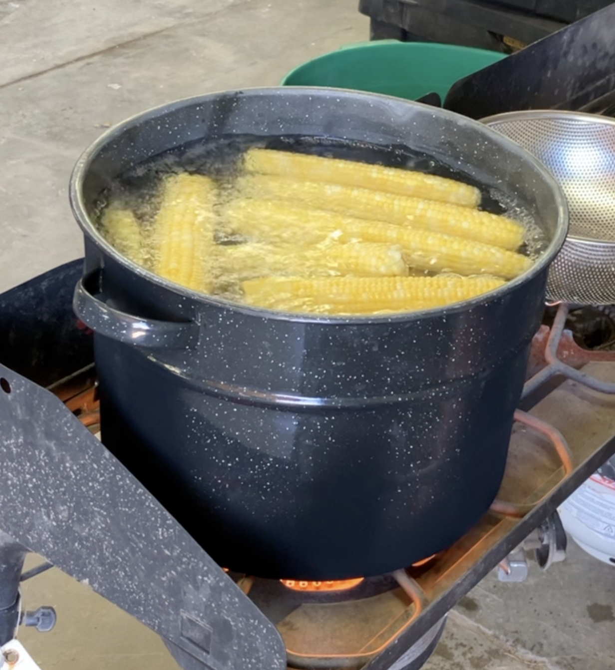 Preserve Sweet Corn for the Freezer: A Step-by-Step Guide – Cora's Cottage