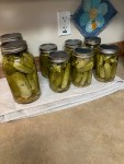 Homemade Dill Pickles: A Simple Guide to Crispy, Crunchy Perfection ...